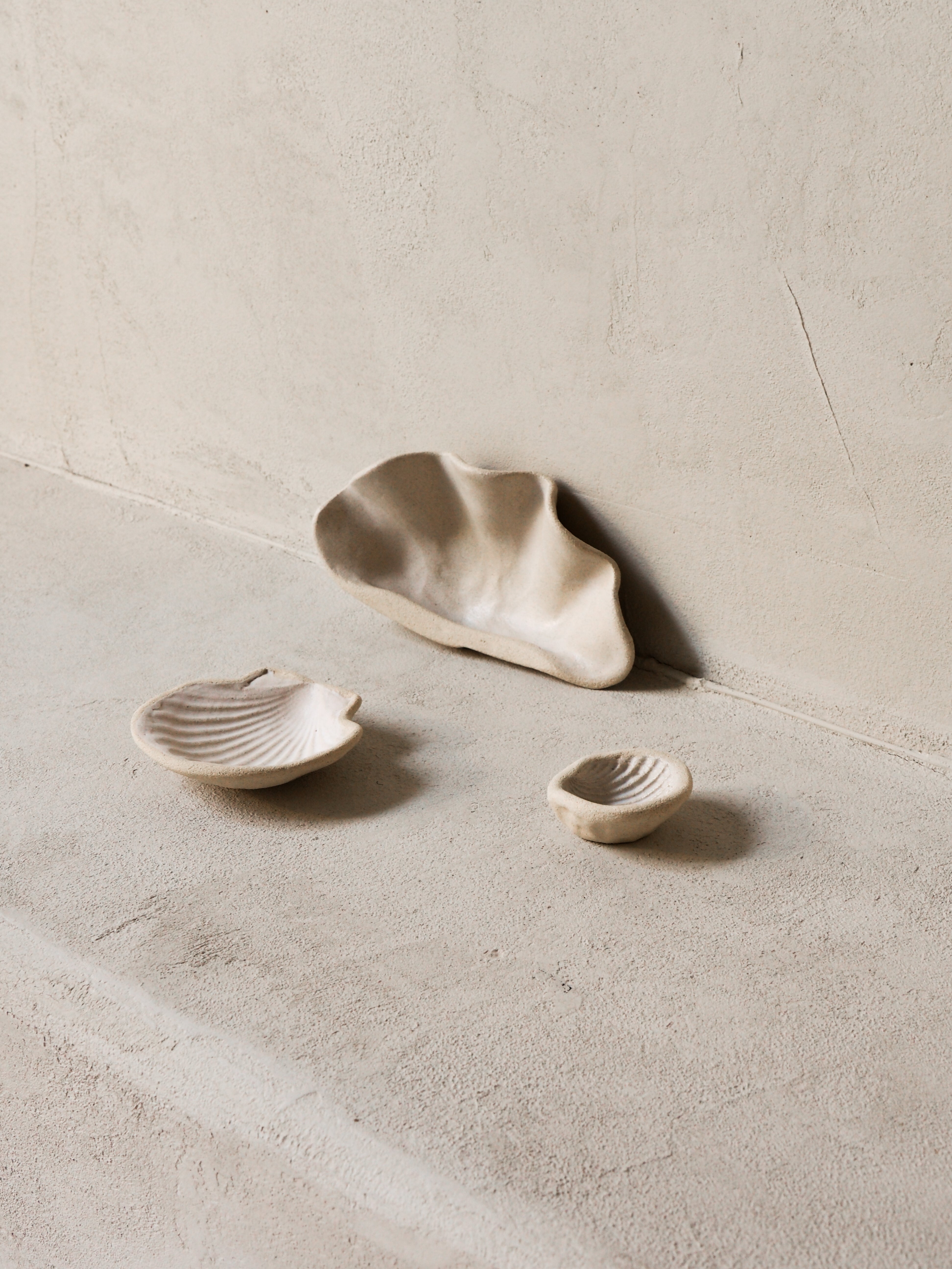 SHELL PLATES - Working in the Redwoods